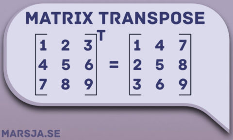 How to Transpose a Dataframe or Matrix in R with the t() Function