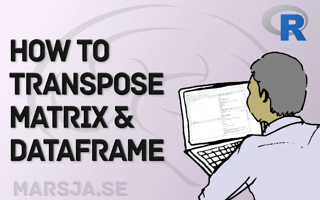 How To Transpose A Dataframe Or Matrix In R With The T Function