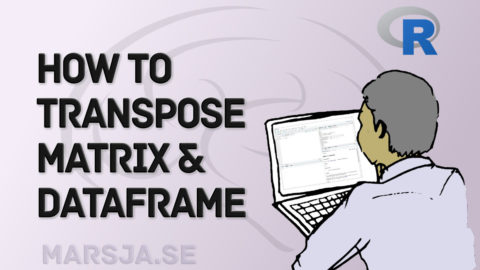 How to Transpose a Dataframe or Matrix in R with the t() Function