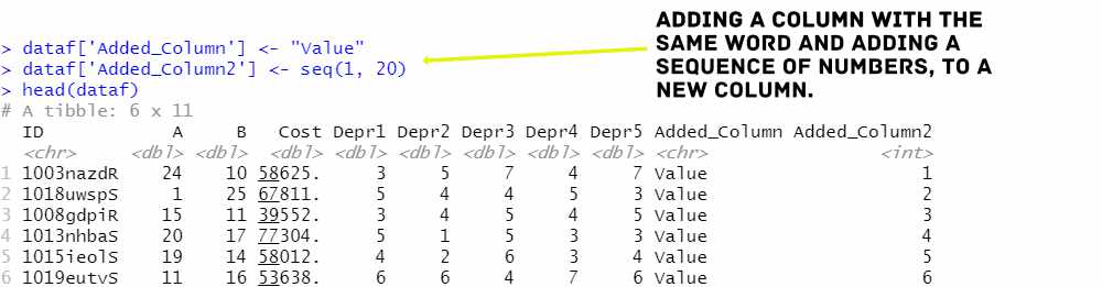 Adding An Empty Column To Dataframe Using Pandas A Step By Step Guide